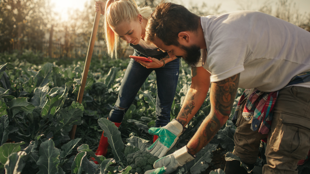 The Rise of Small Scale Sustainable Farming in Alberta